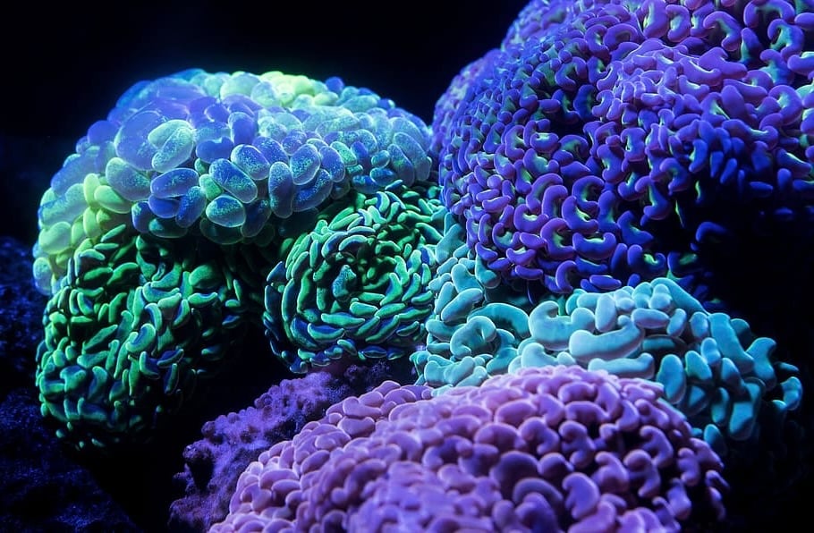 Akkuro | Composable Banking | Technology for a Lifetime of Finance